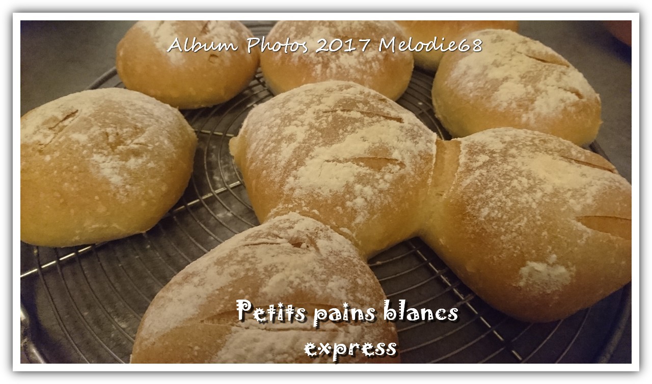♥ Les Gourmandises de Melodie68 ♥: Petits pains blancs express