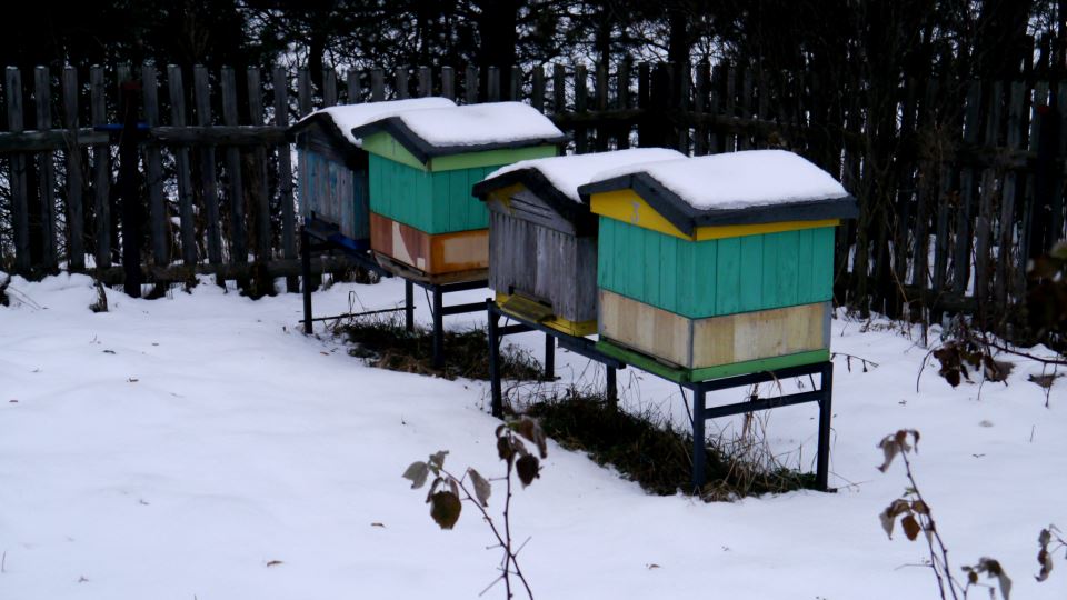 Zulu Bees: Beautiful multi colored bee hives