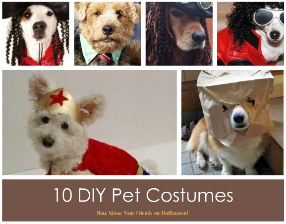 Ten Pet Costumes To Bow Wow Your Friends This Halloween