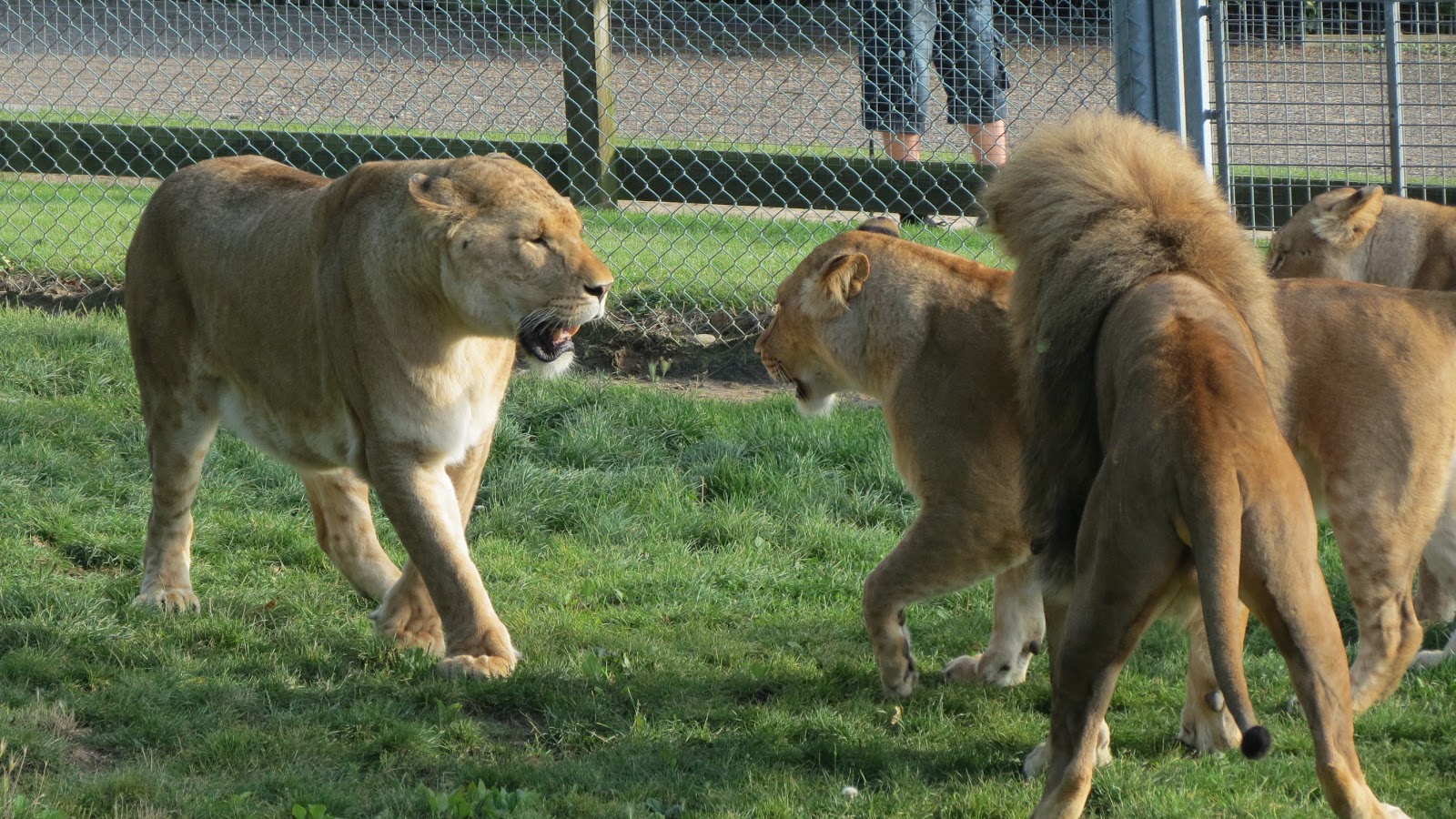 The Antics of a Brittle Asthmatic: Norfolk (part two)