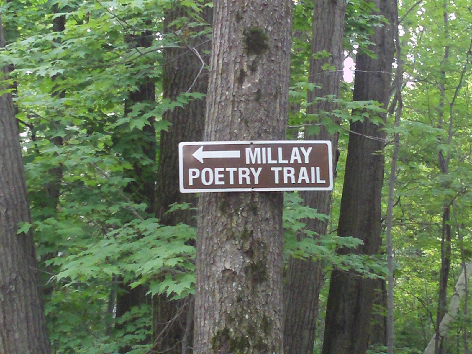 Flipped Kitty in the City: Millay Colony for the Arts Residency Part 2