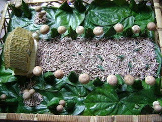 Basor Ghar Design - Photo Gallary