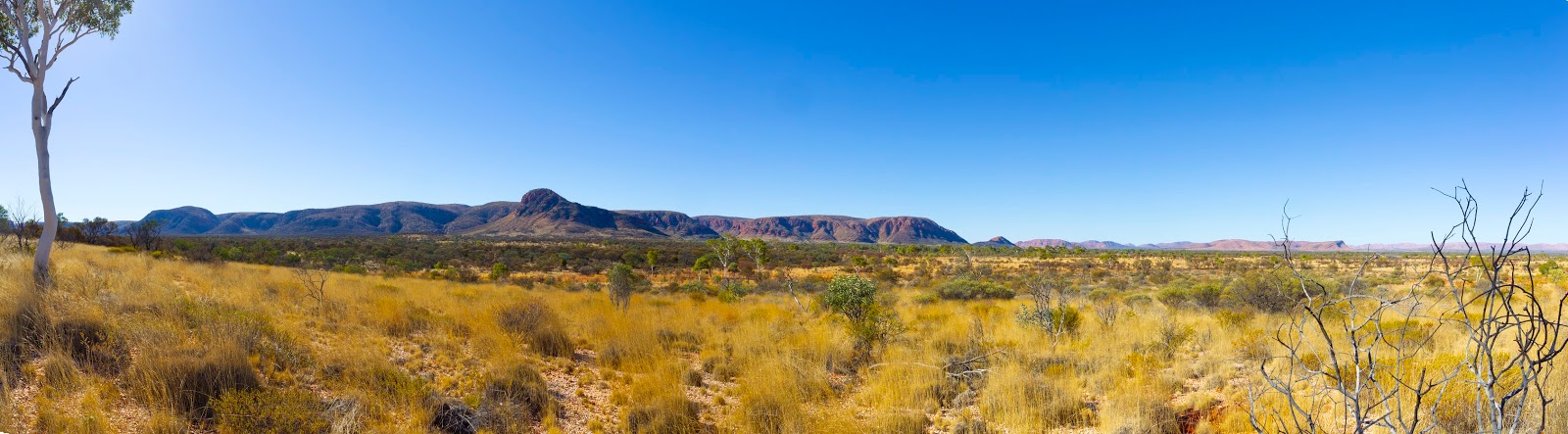 Rhossie Talk: The Longest Shortcut continues.......