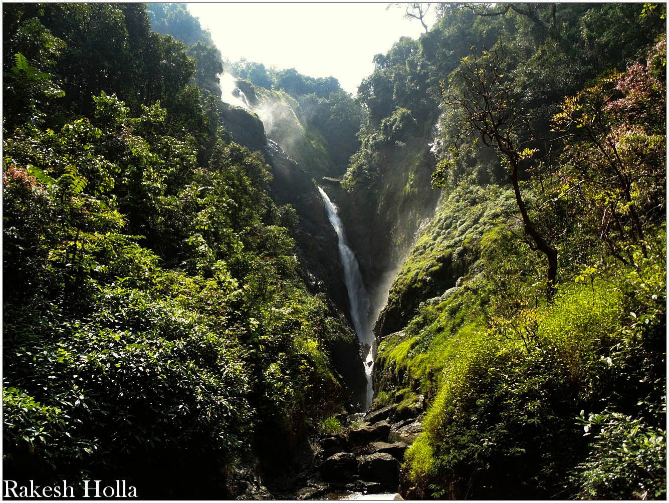 The Voice of Greenery - Trekking and Travelling in Western Ghats ...