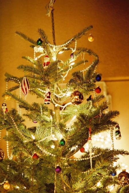 toekana: THE BEST CHRISTMAS TREES - ΤΑ ΩΡΑΙΟΤΕΡΑ ΧΡΙΣΤΟΥΓΕΝΝΙΑΤΙΚΑ ΔΕΝΤΡΑ