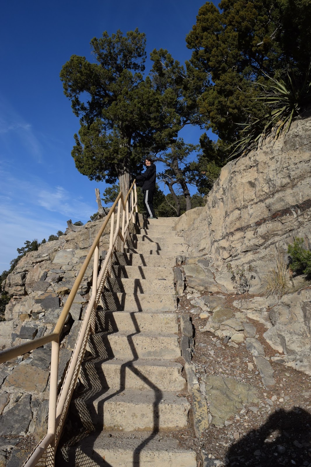 Diane and Stephen's Excellent Albuquerque Adventure: Thanksgiving Day ...