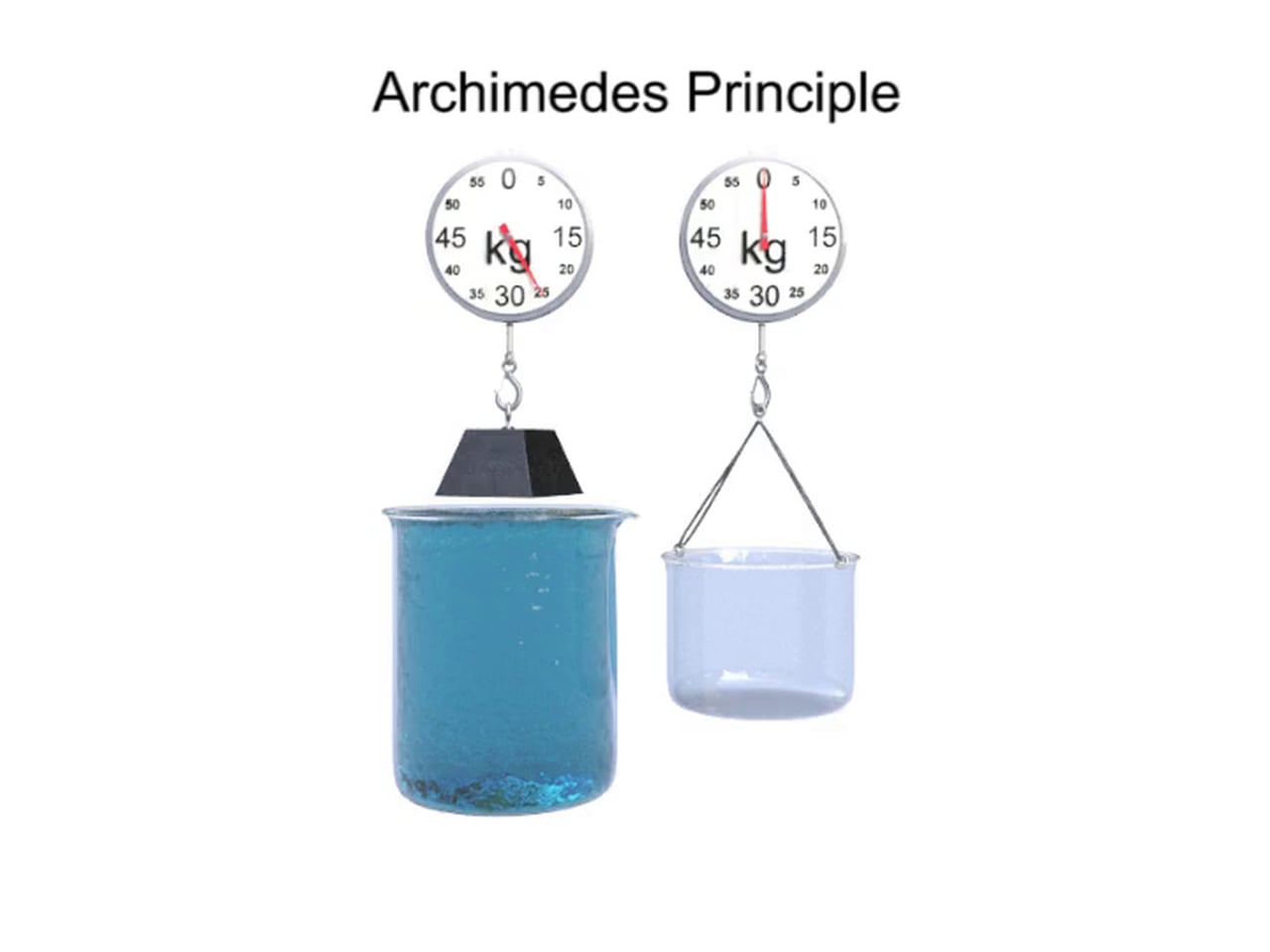What is Archimedes’ principle