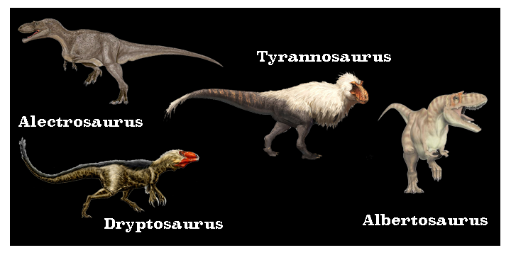 The Expeditioner's Discovery Guild: A little bit of Everything: Paleo ...