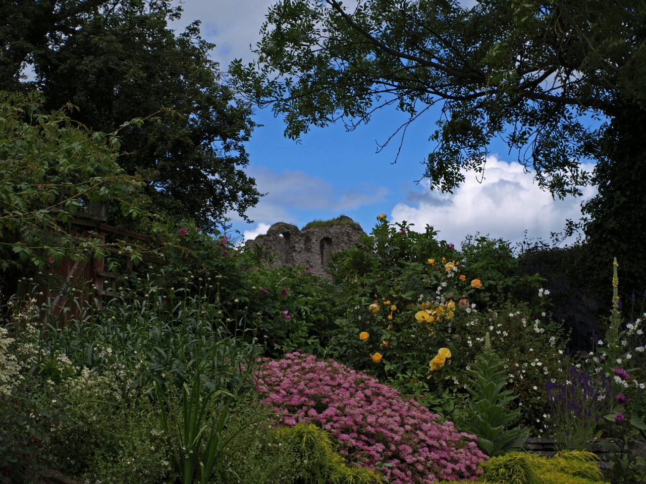 Prufrock's Dilemma: In Friko's World