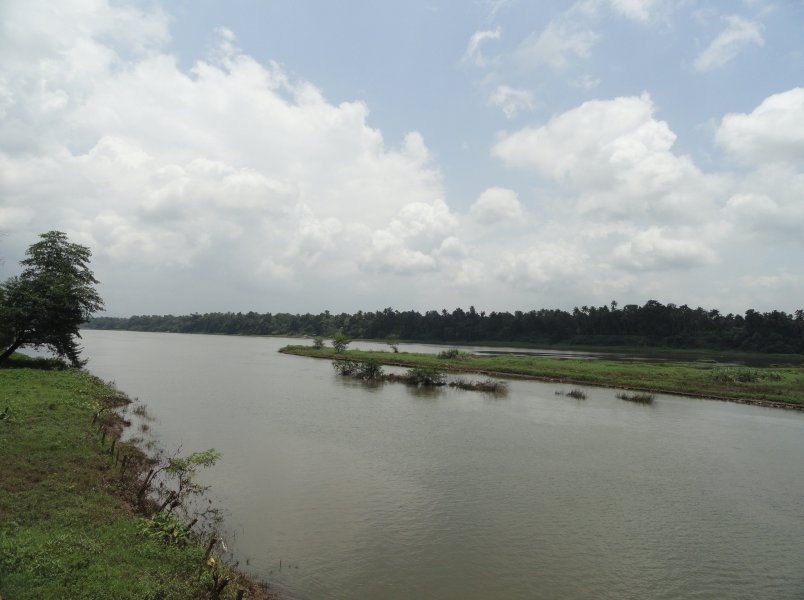 Jam's Chronicle: Day2: Kaladi - Crocodile Ghat