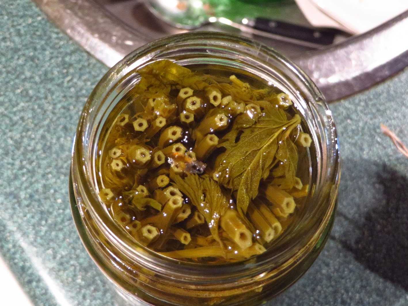 The World of Gord: Pickled Hop Shoots