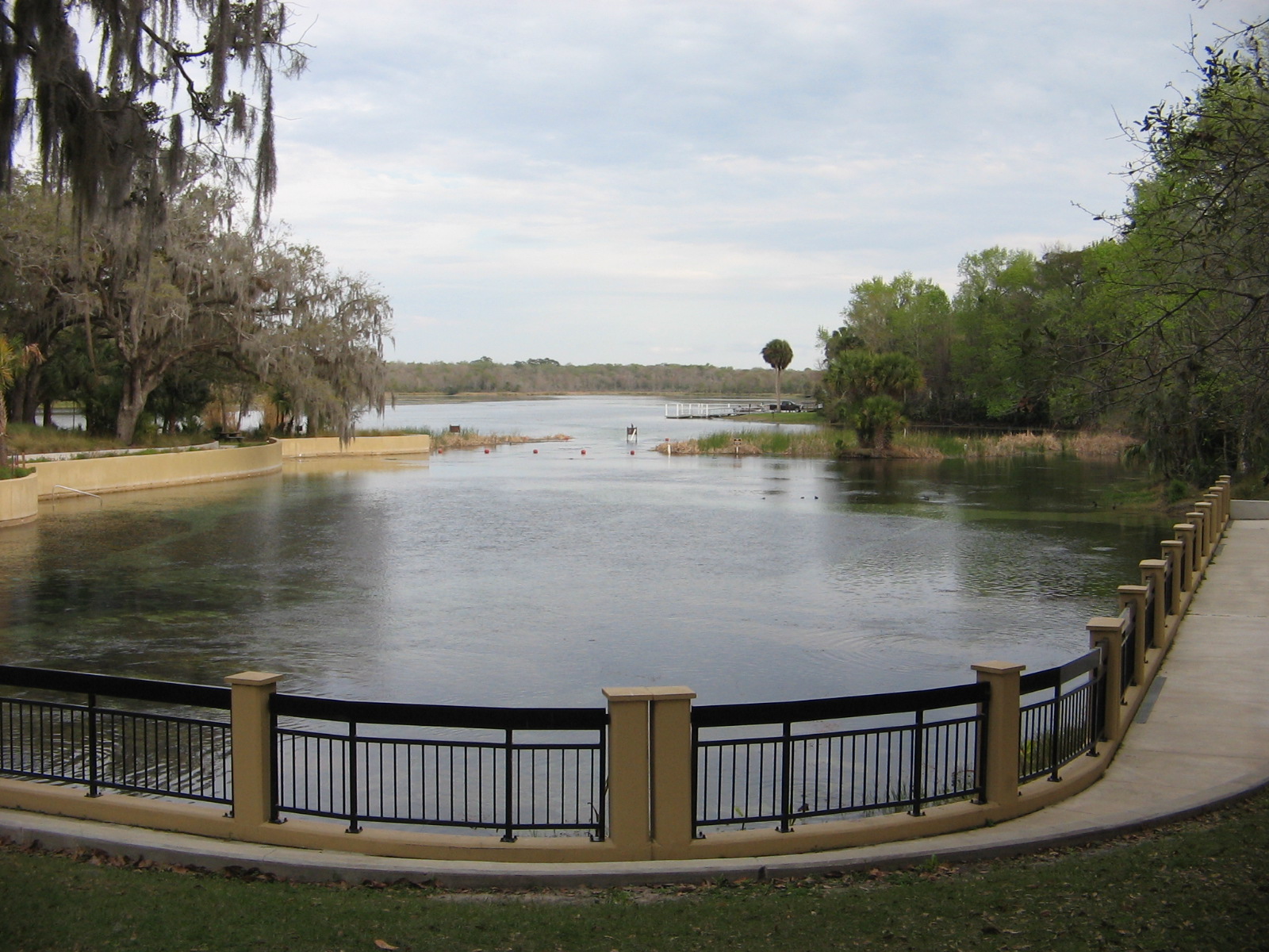 Online Journal of Adventures: Camping in Ocala National Forest