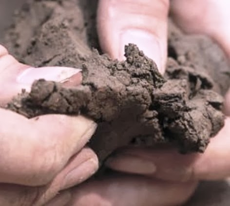 Strength Test for Differentiating Silt from Clay Soil
