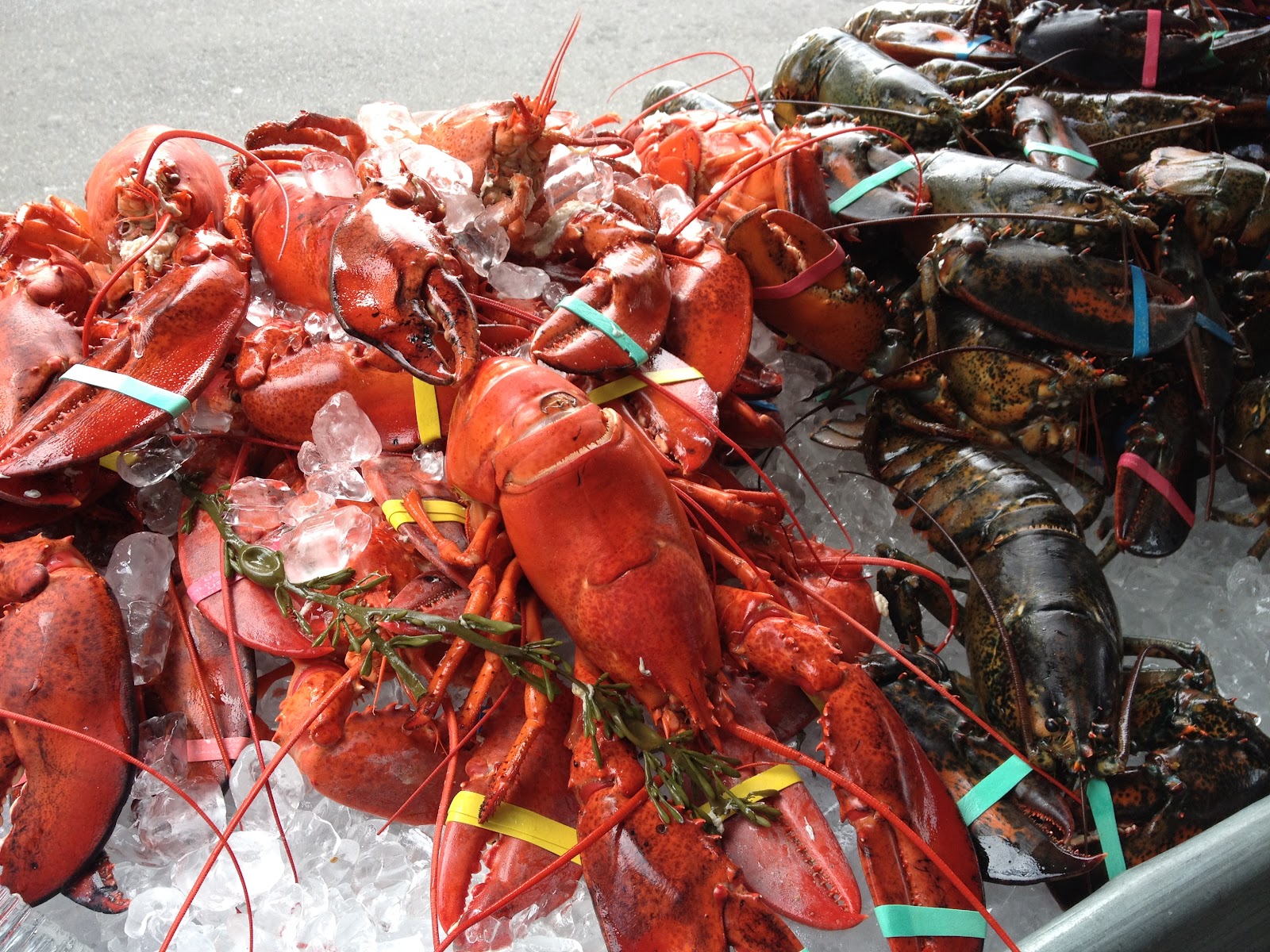 The best tastes of summer salad….