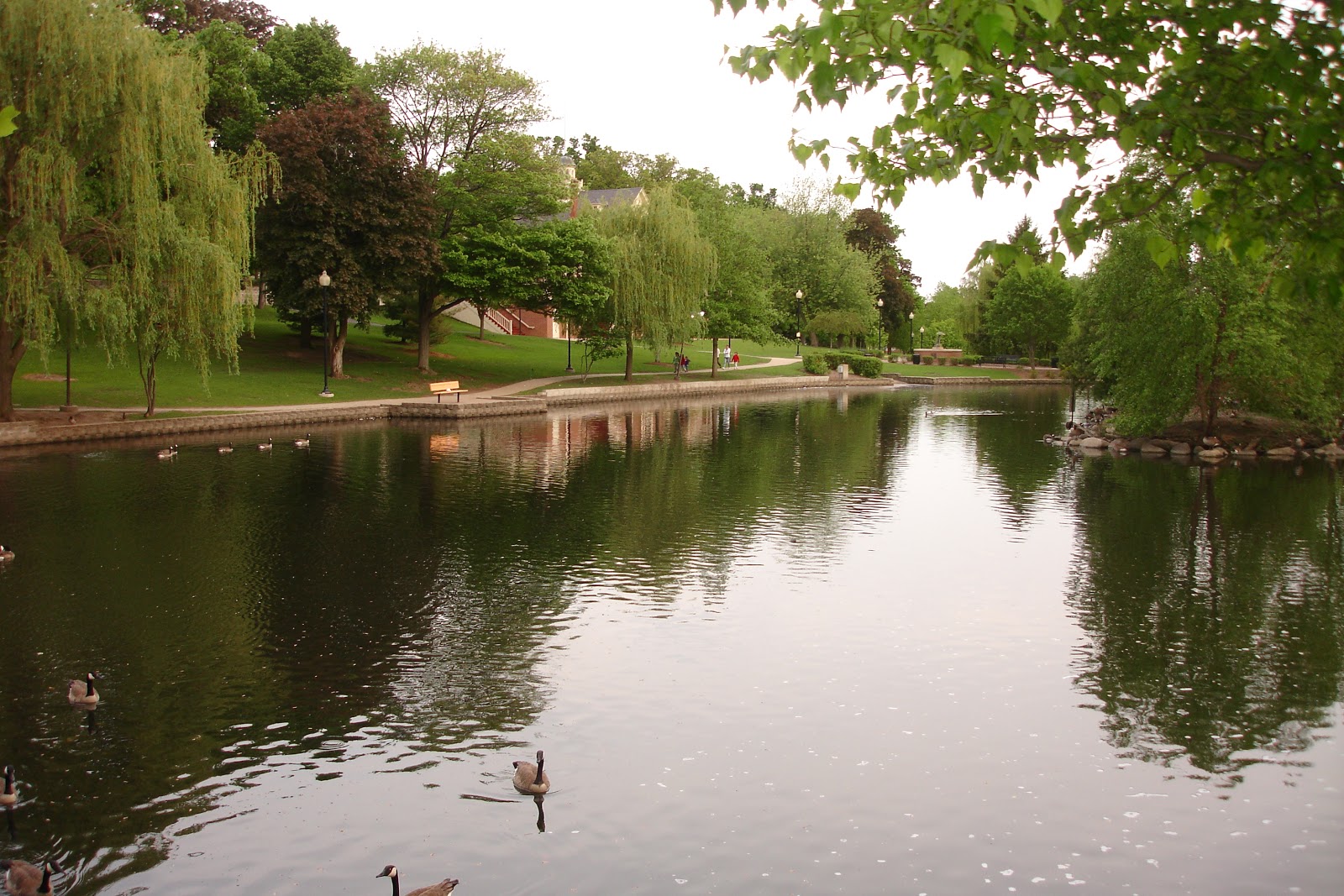 Playground Fun!: Lords Park, Elgin