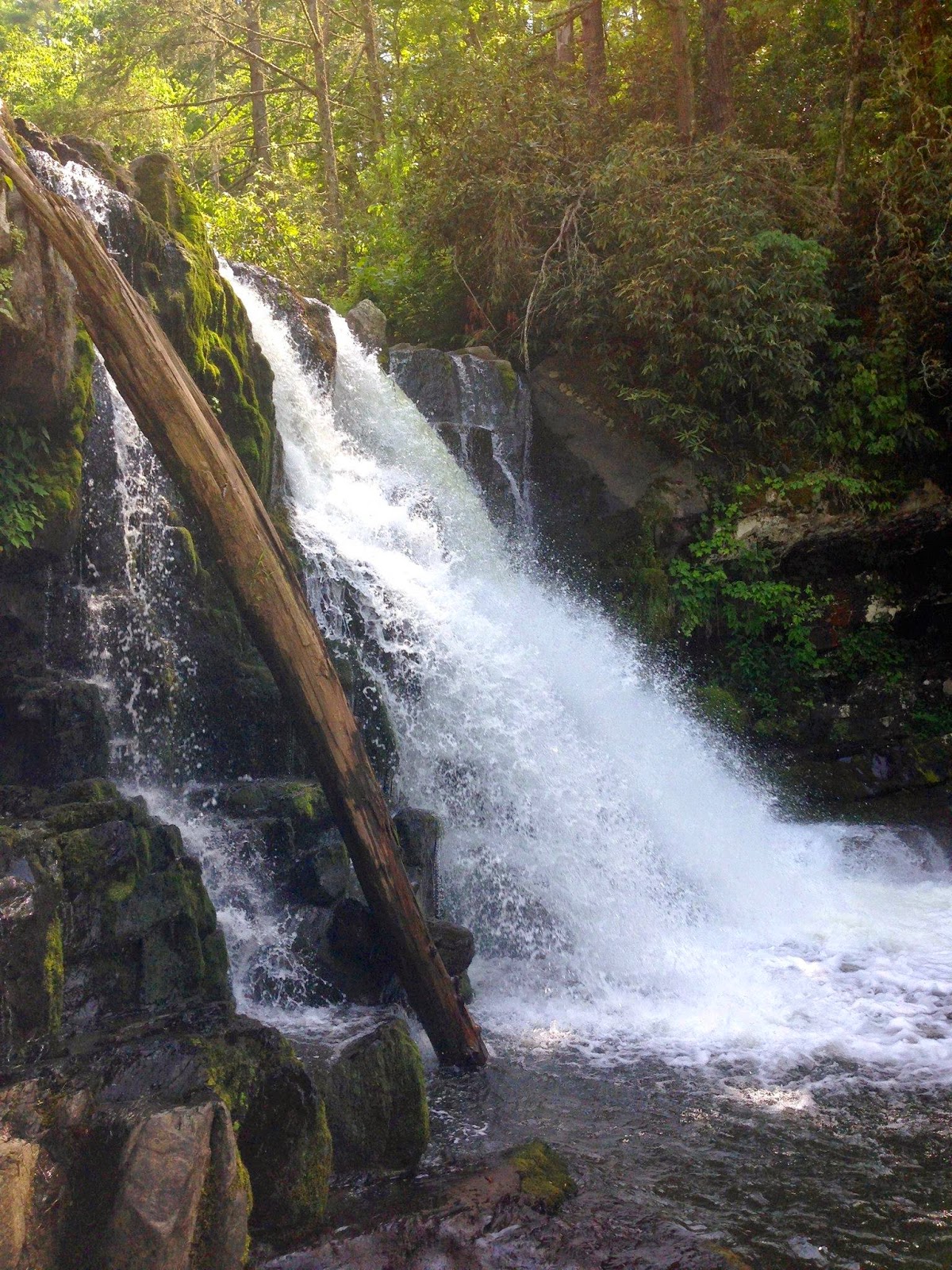 SmallWorld: In the Smokies: Abrams Falls