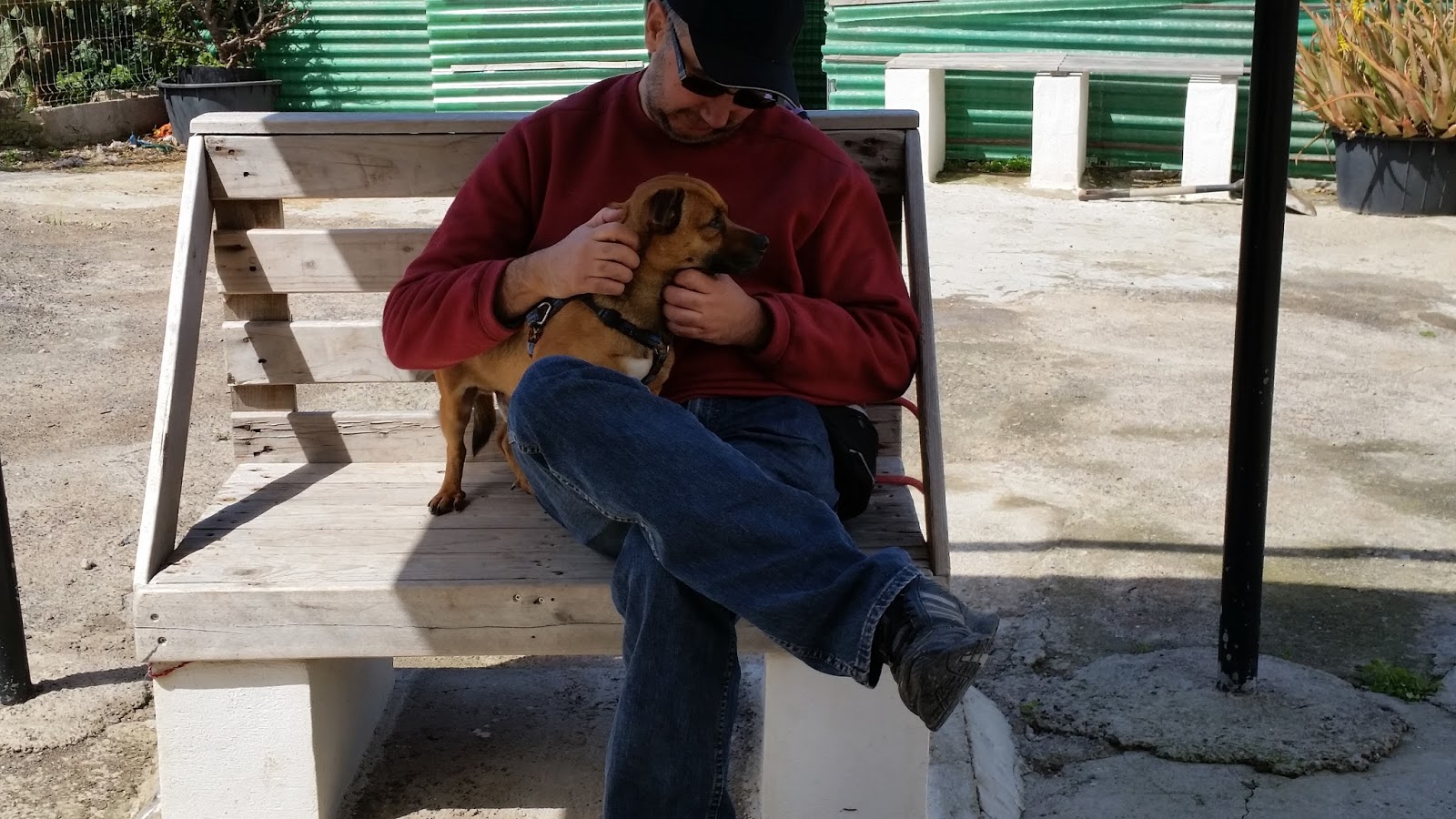Valle Colino: Perros pequeños - CHAPI ¡¡ ADOPTADO