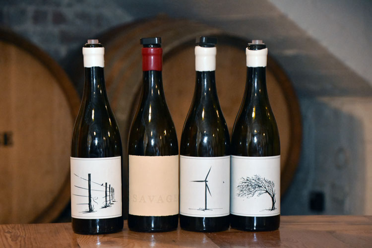 .: The release of the new vintage of Savage Wines