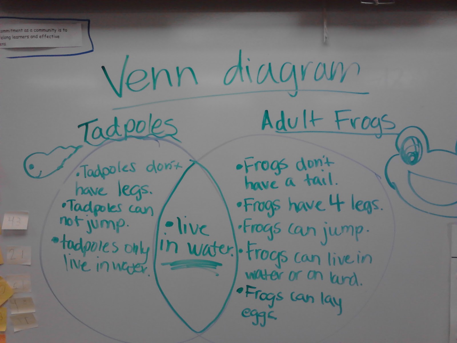 Mrs. Kressin's Kindergarten : Meet Venn Diagram...How to read fluently ...