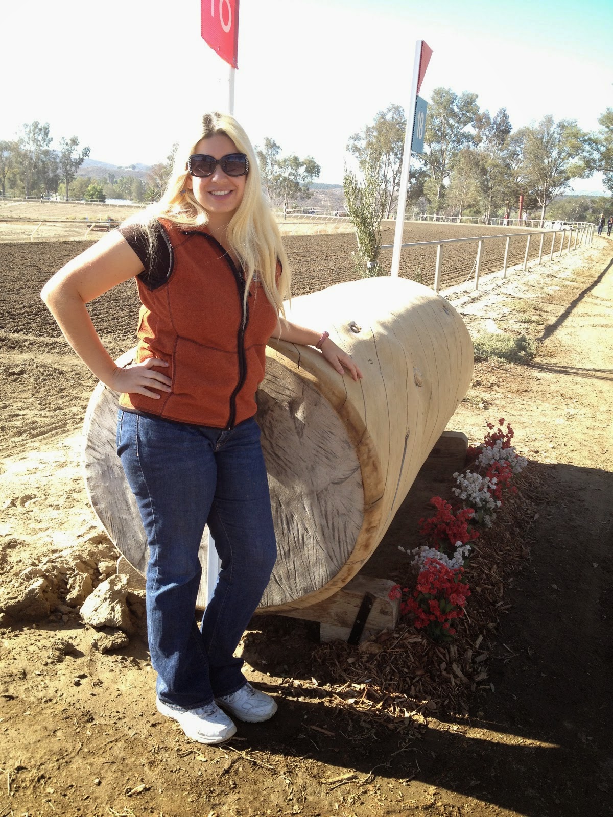 Eventing in Color: Eventing Explained: Competition Levels