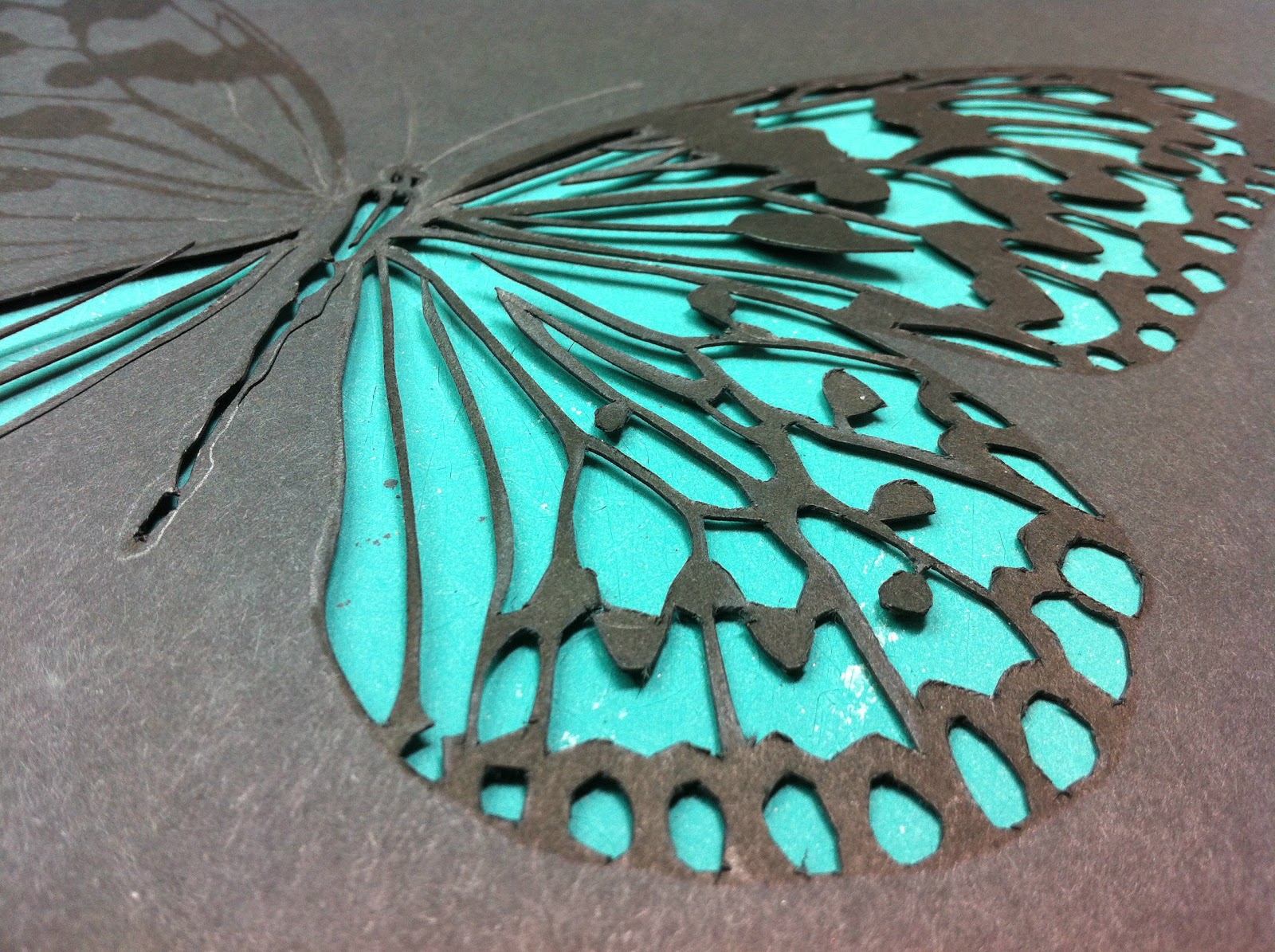 Butterfly Jungle: A New Butterfly Friend- Rice Paper Butterfly