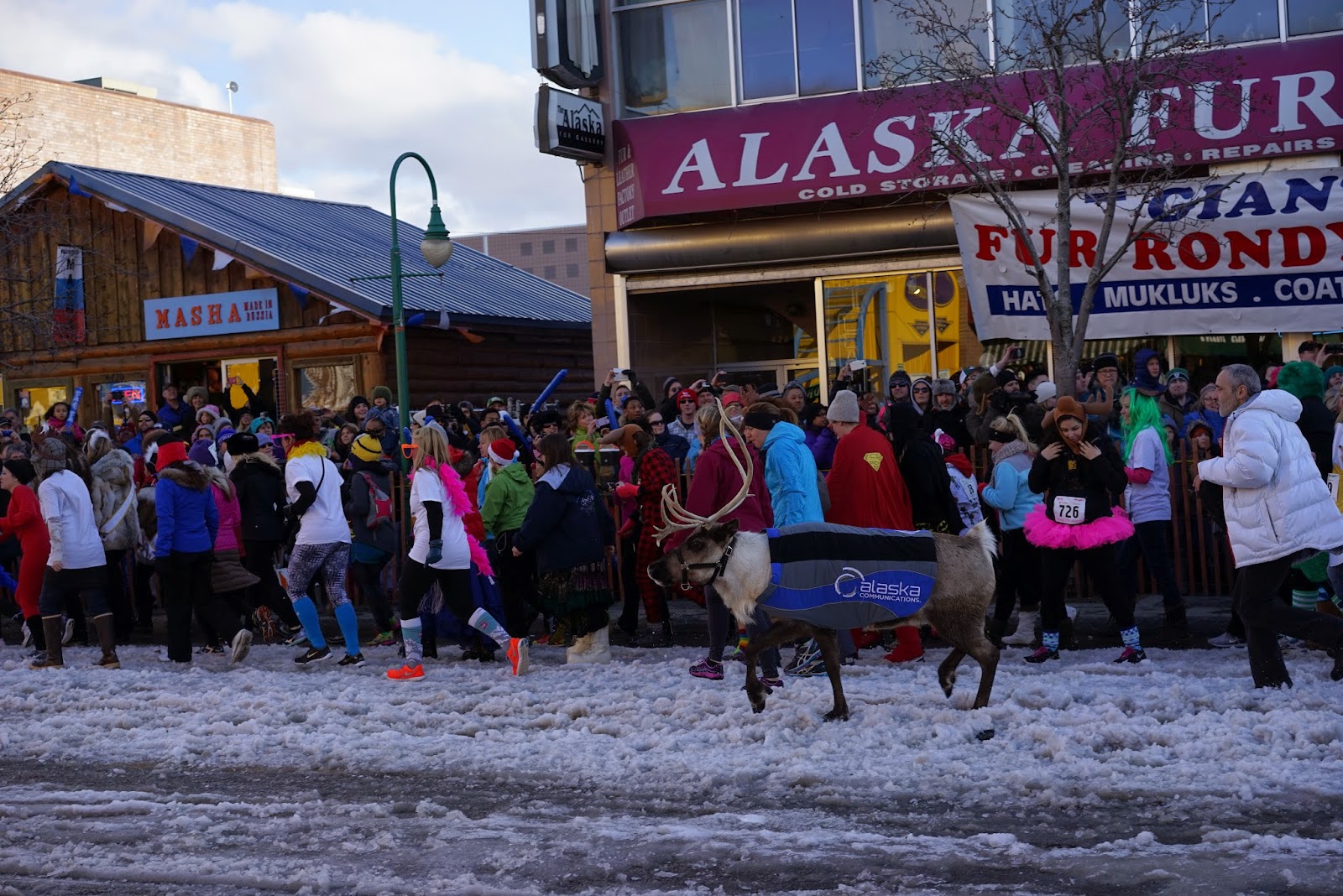 Lost But Loving It...In Alaska!: Run With the Reindeer