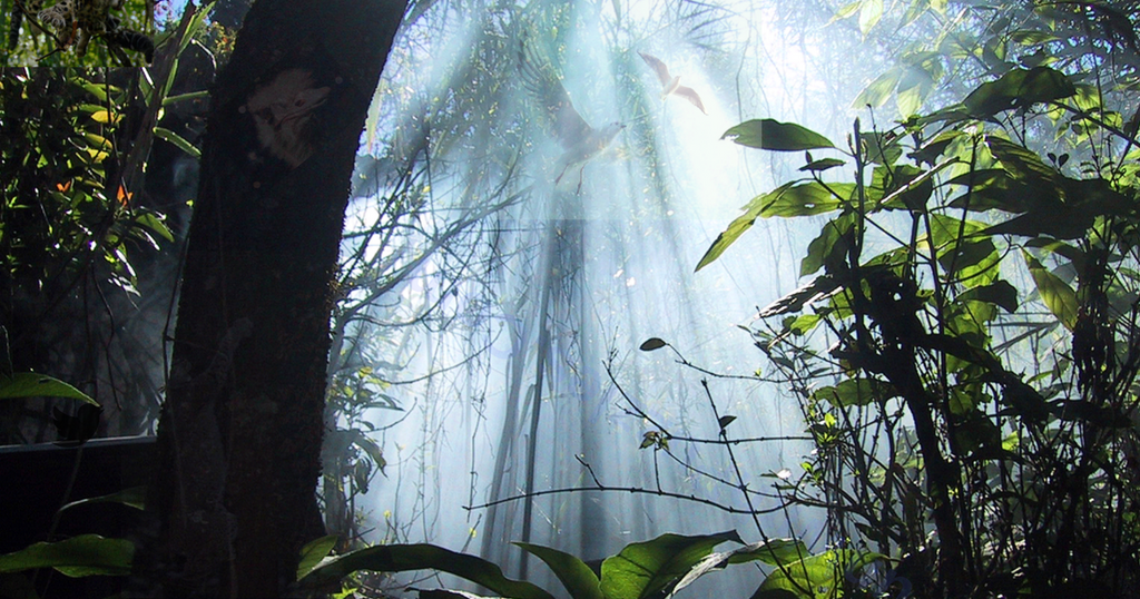 Find Hidden Animals: Kids Picture Puzzle