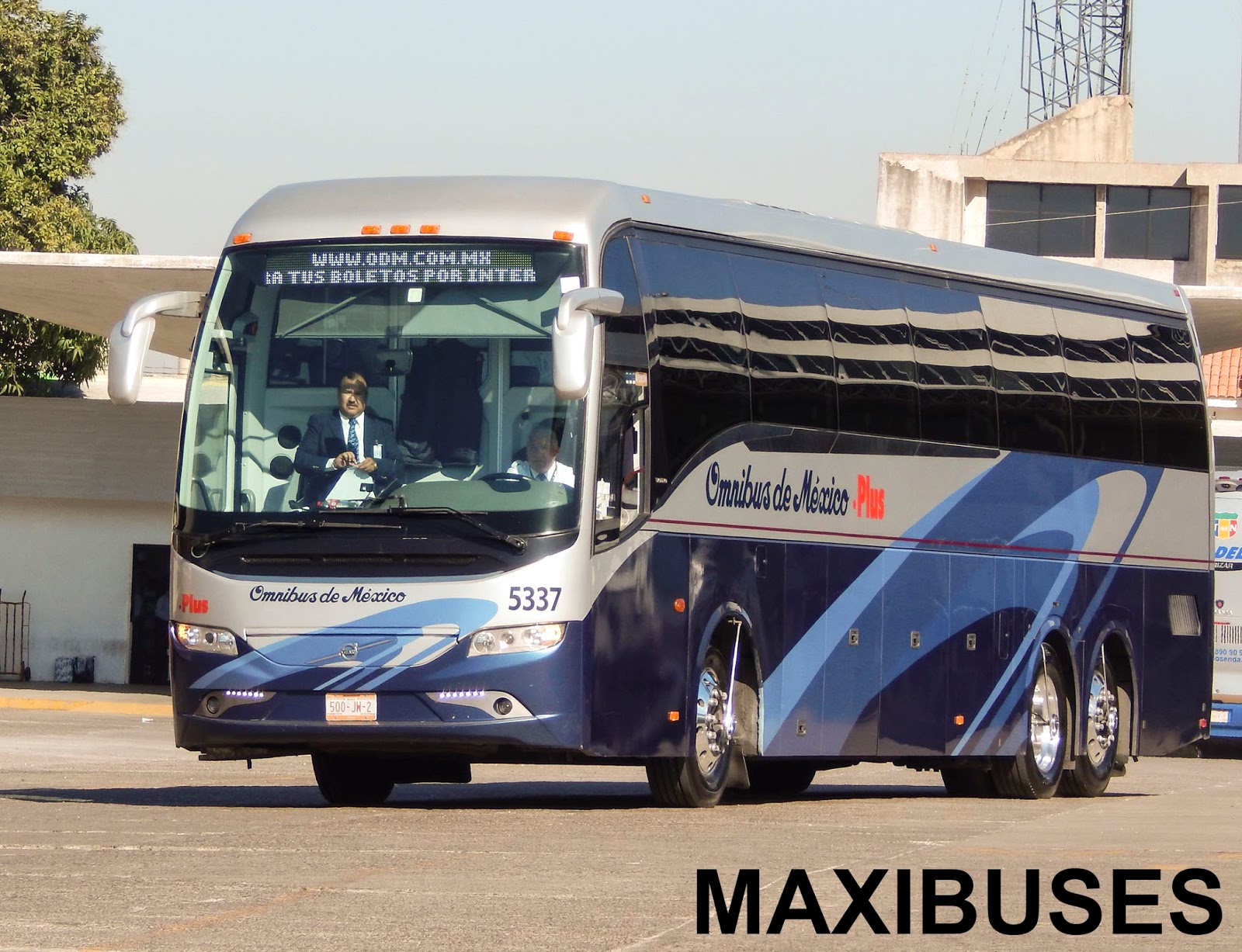MAXIBUSES: OMNIBUS DE MÉXICO PLUS