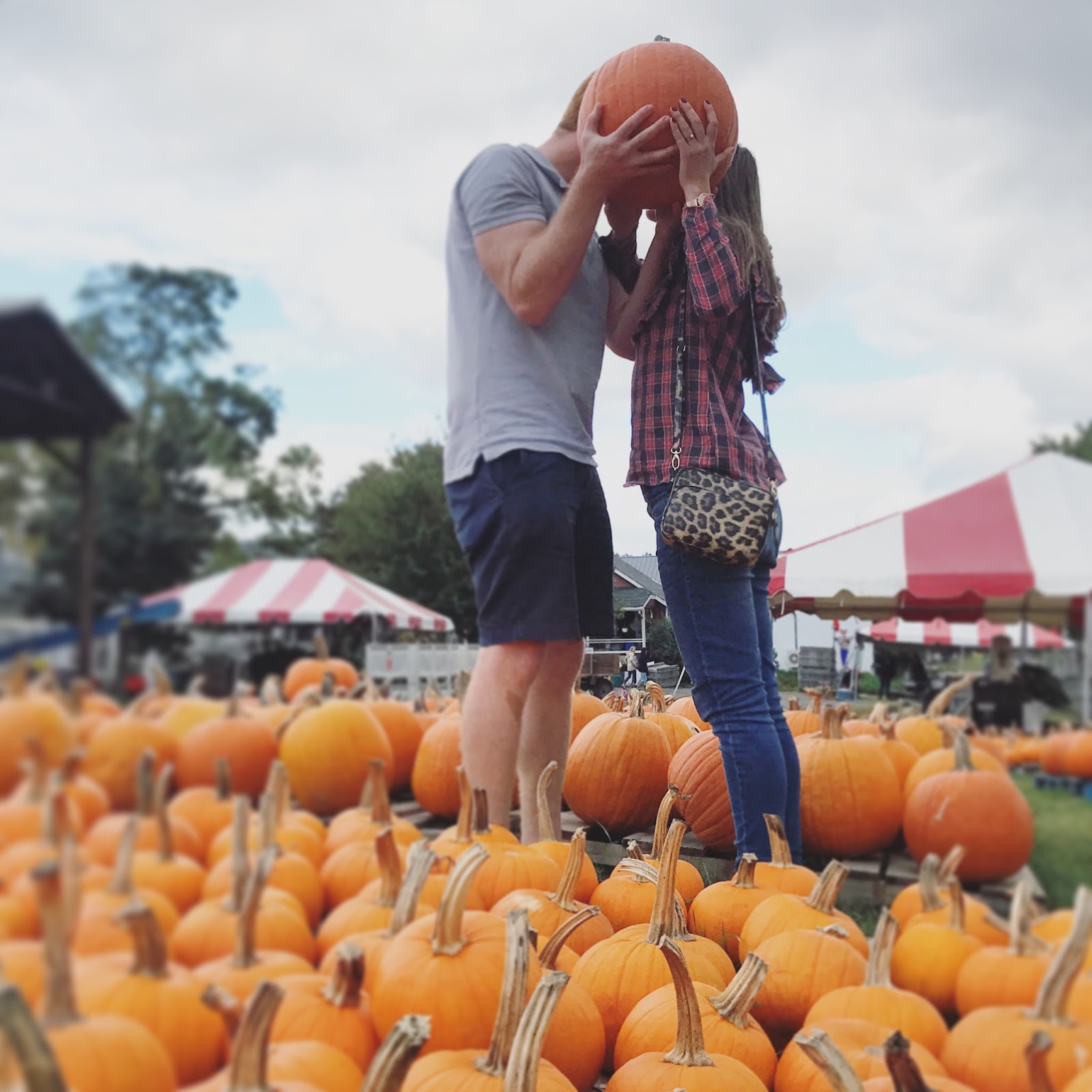 Travel - New England Part One, Princeton NJ and the Pumpkin Patch ...