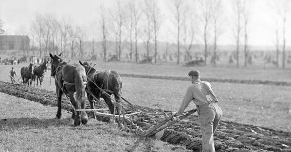 Rural Revolution: Eyes on the prize