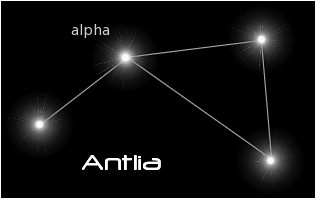 What I Want to Know???....: ANTLIA