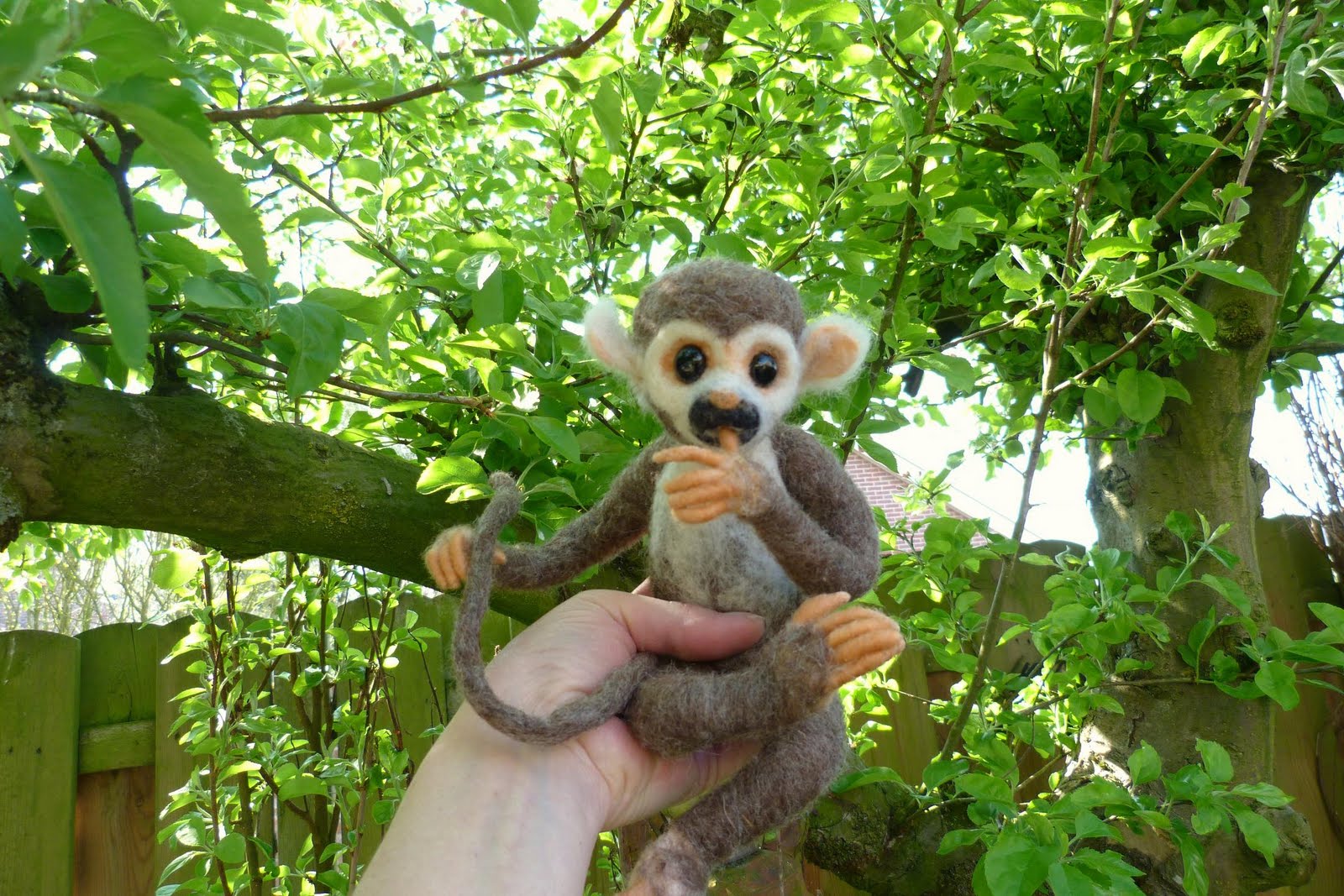 Pip's poppies: April 2011