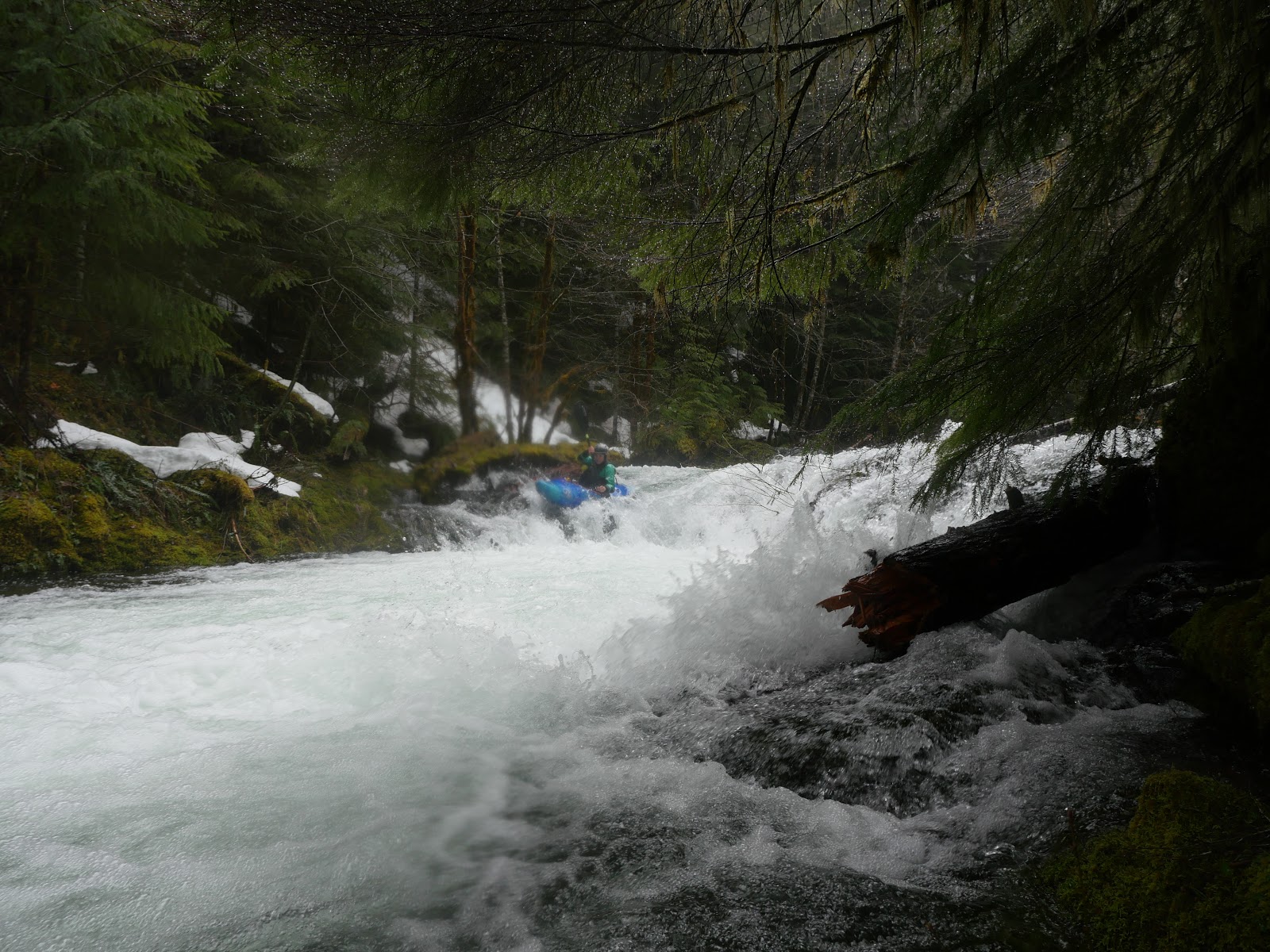 Into the Outside: Calapooia River: Headwaters