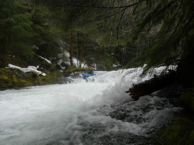 Into the Outside: Calapooia River: Headwaters