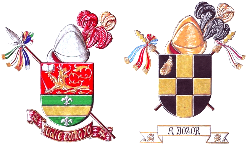 LA MESA DE LOS NOTABLES: APORTACIÓN:LA HERÁLDICA DE LOS MILITARES.