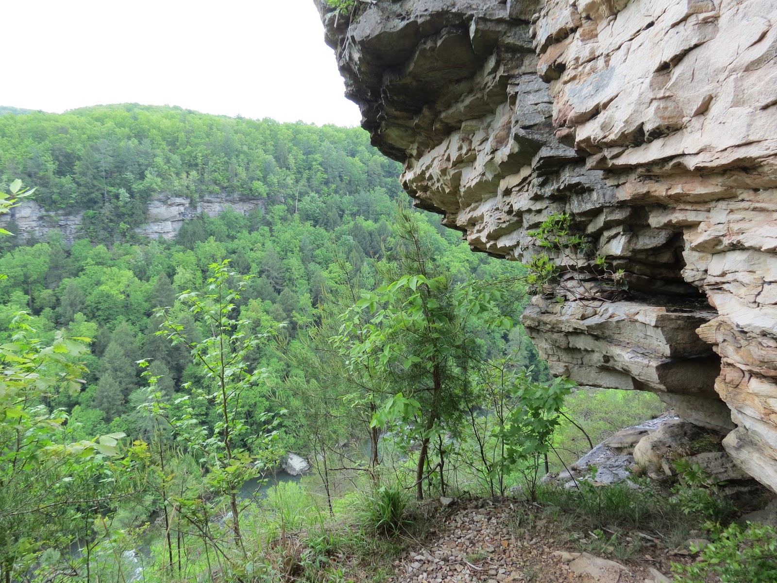 Where's Liz-2013?: Obed Wild and Scenic River National Park