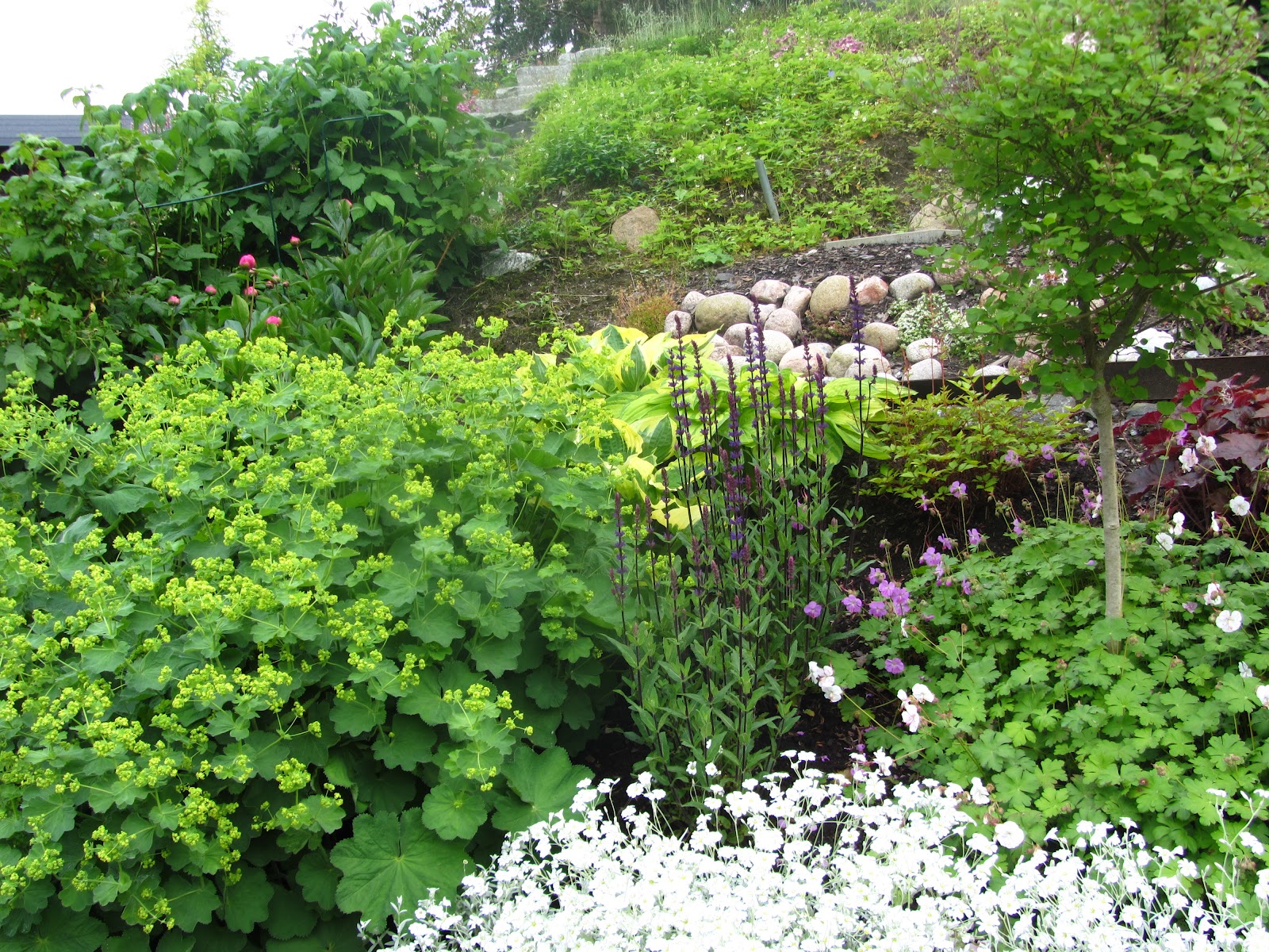 Hos Hanna: I rabatten