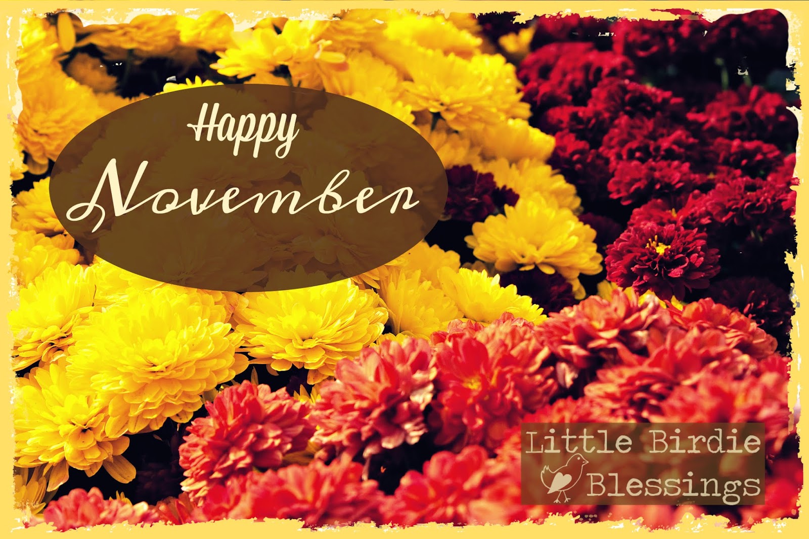 Little Birdie Blessings : Happy November ~ A Poem of Thanks
