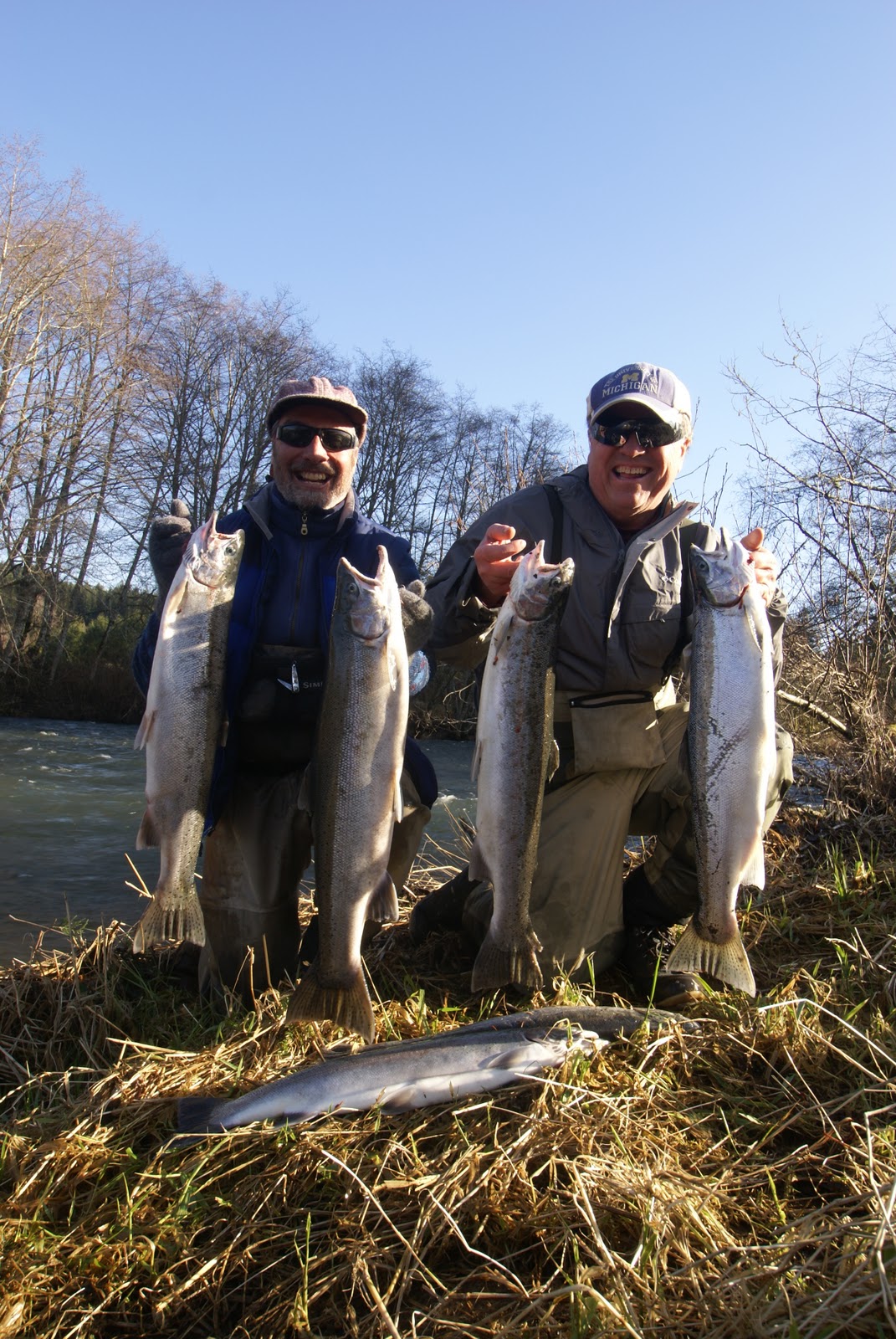 Fly Fish Oregon Water Time Report: Nothing But Chrome- NF Nehalem Report