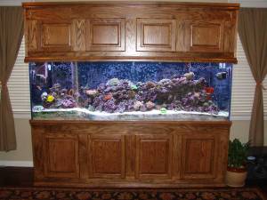 Giant Aquariums: 300 Gallon Saltwater Fish Tank Reef Tank Aquarium ...