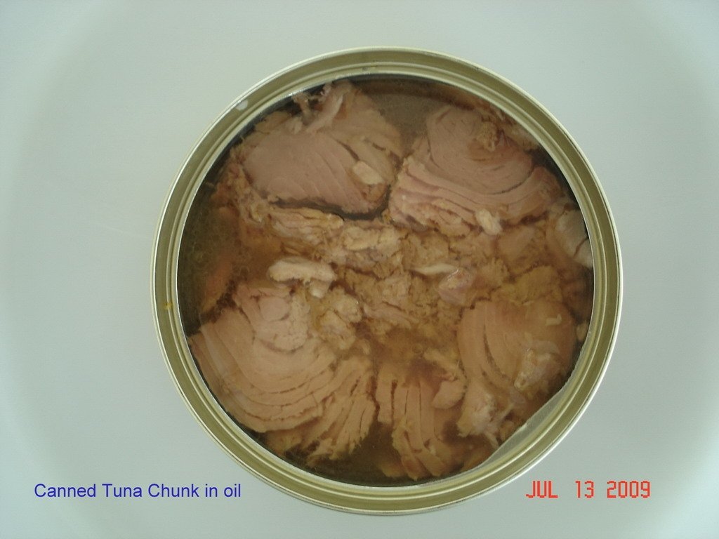 Using Canned Tuna with Sunflower as Your Children Lunch Menu - Tuna ...