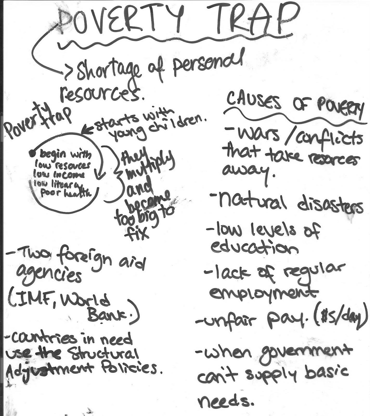 Ms. McGill - Social Studies 11