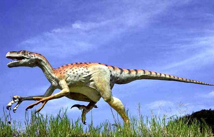 Dinosauriërs