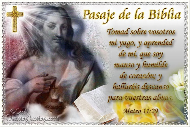 Vidas Santas: Santo Evangelio según san Mateo 11:29