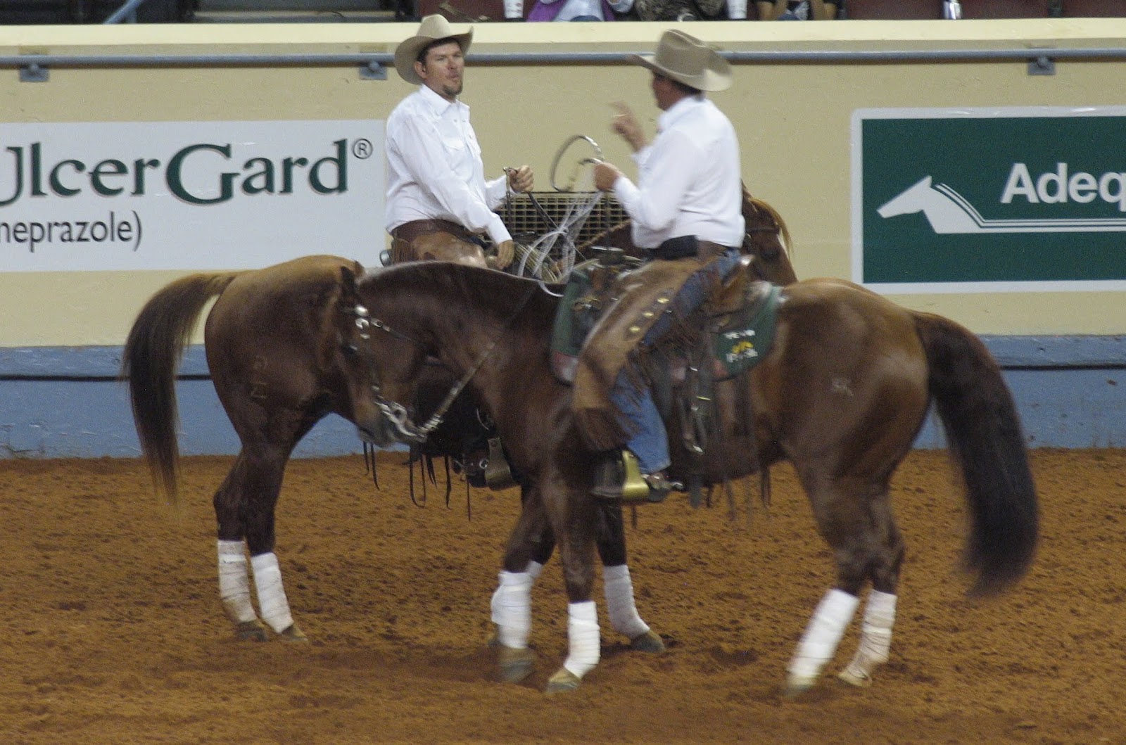My All Around Cowgirl Life: AQHA World Horse Show 2012 Pat Parelli demo