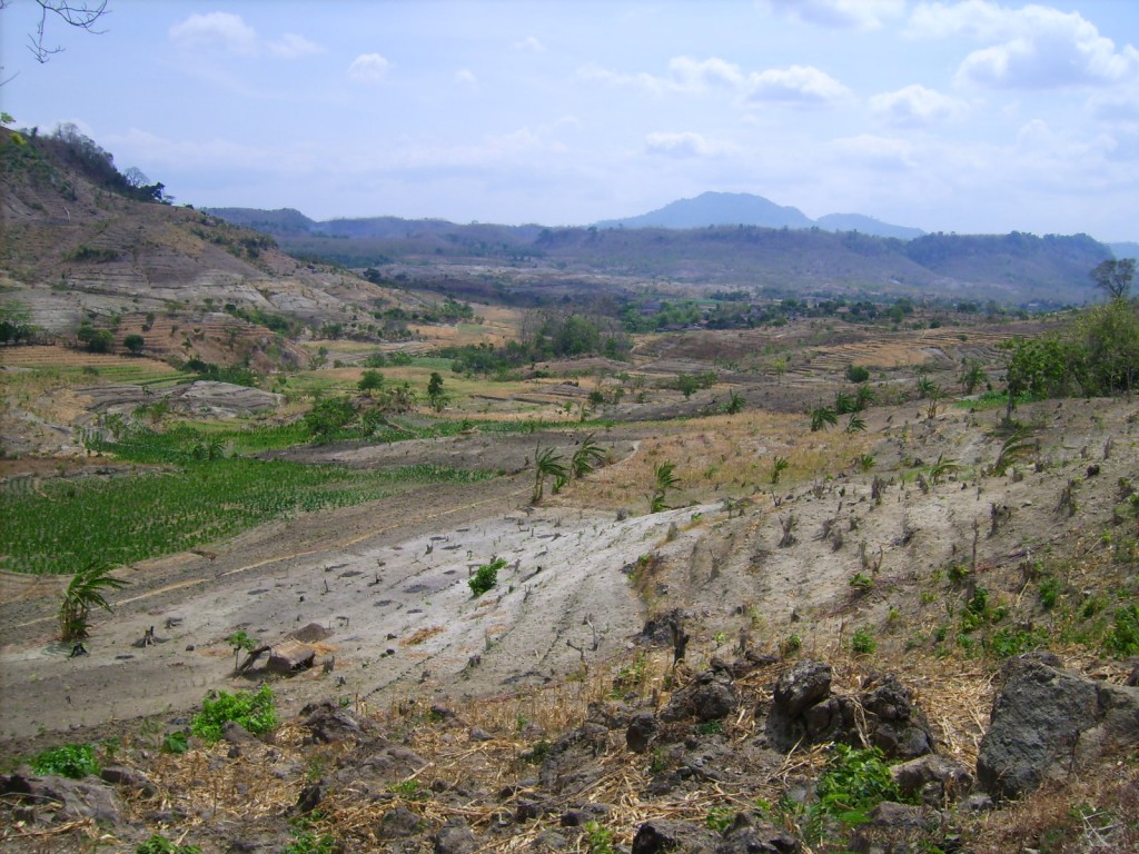 Persebaran Jenis Tanah dan Pemanfaatannya di Indonesia | Biasa Membaca