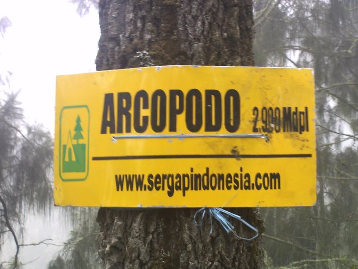 Tari S lestari di Gunung Semeru | Pendakian Gunung Lawu