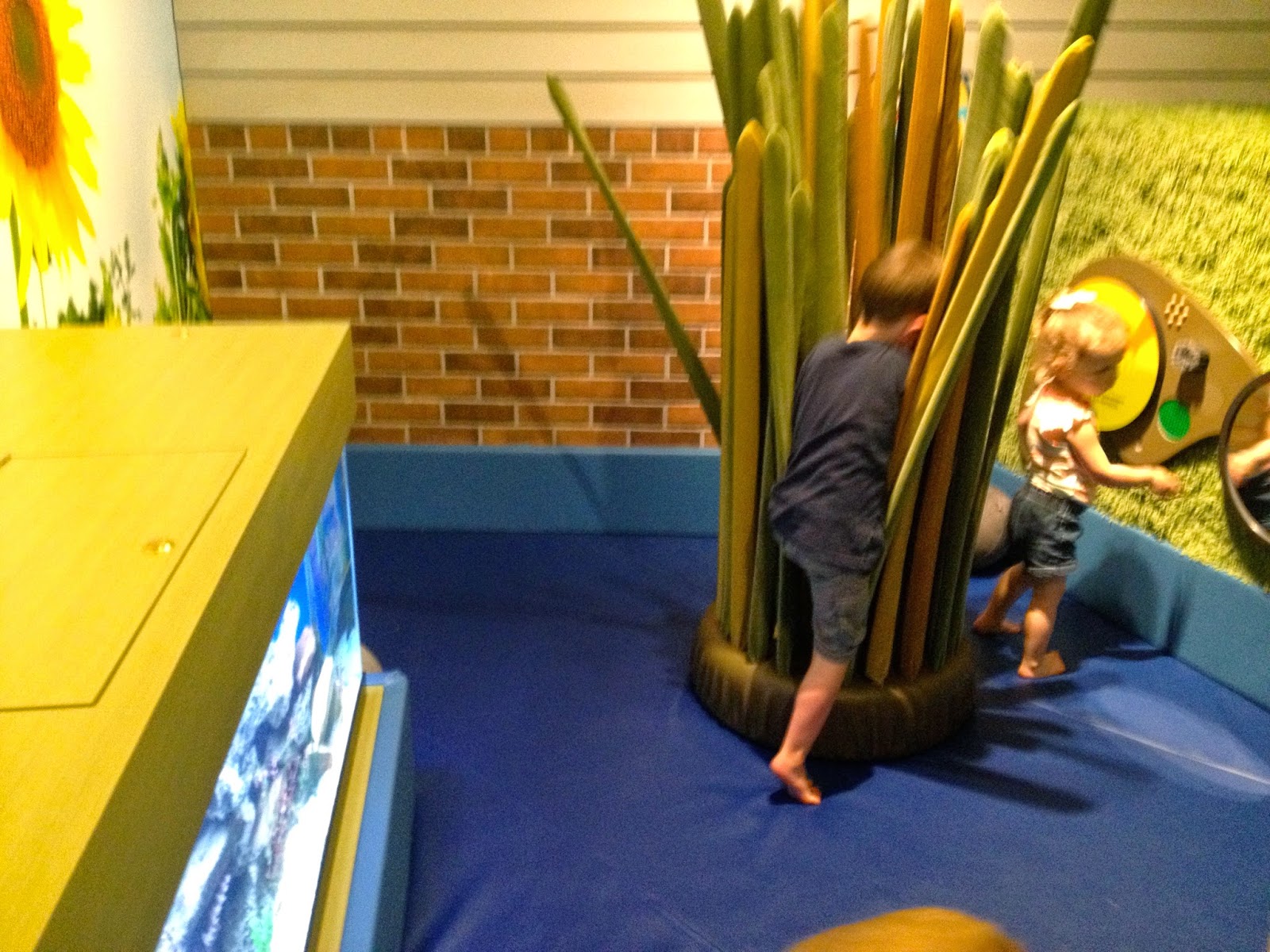 Little Fun Denver: Discovery Zone at the Museum of Nature and Science