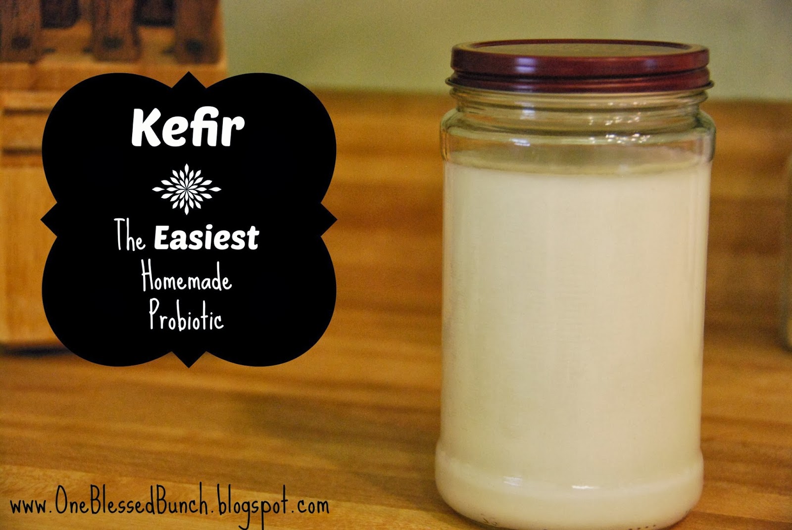 Following Where He Leads...: Easy Peasy Homemade Probiotics: How to ...