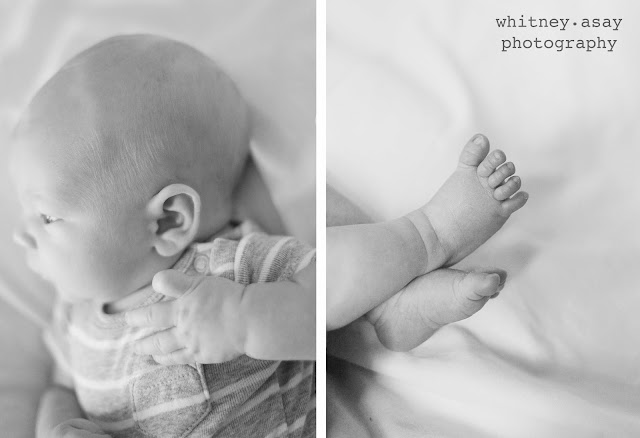 whitney asay photography